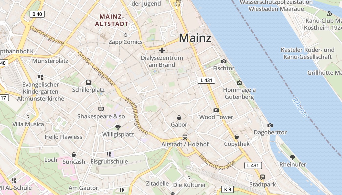 HOTEL HOF EHRENFELS, MAINZ